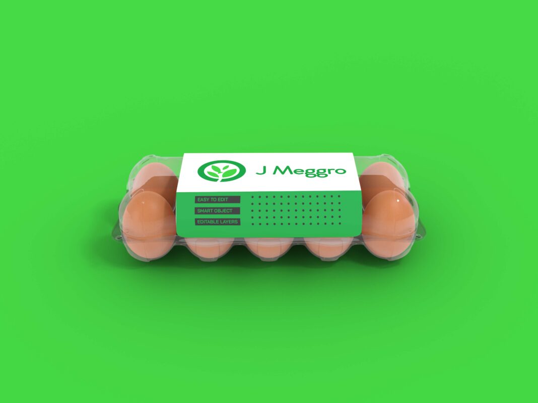 10 Cells Transparent Egg Crates - 50 Pieces - JMeggro