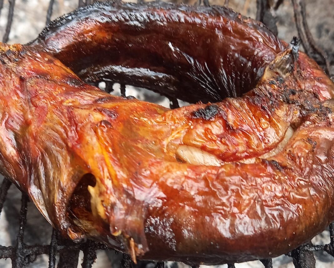 Behind the Scenes at JMeggro Farms: The Journey of Our Catfish from ...